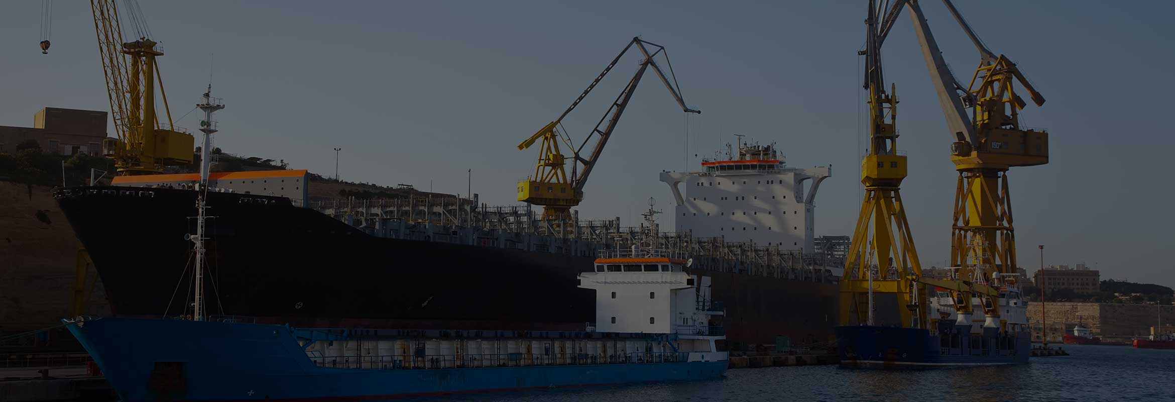 Our Associate Companies - Lanka Shipping